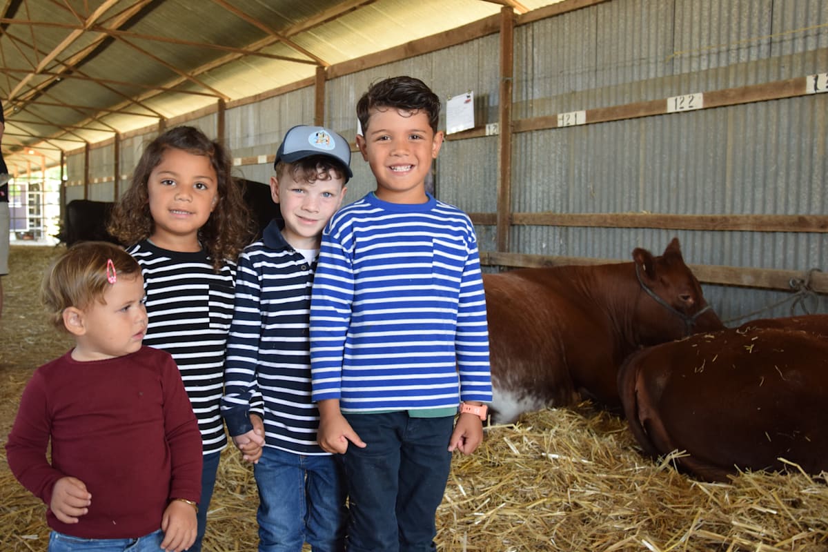 Record gate-takings, glowing reviews for Euroa Show
