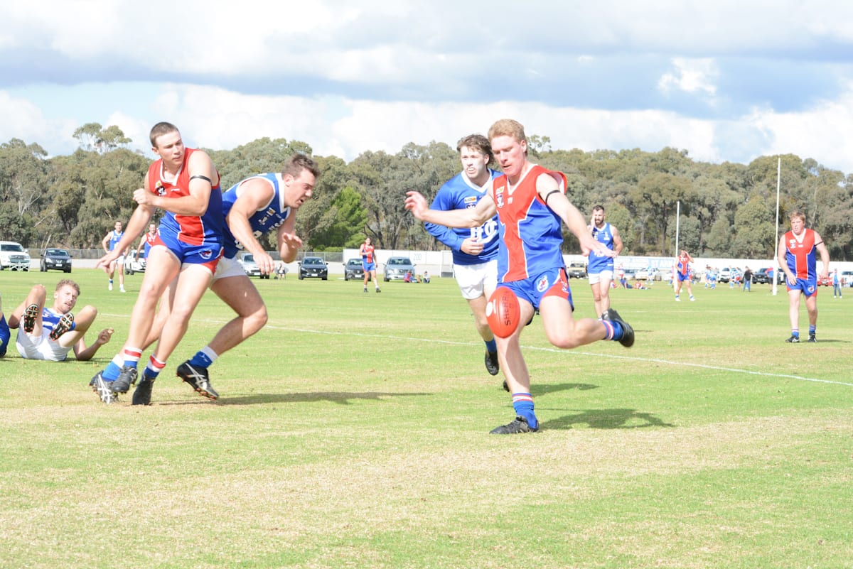 Bulls to Test Royal Blues