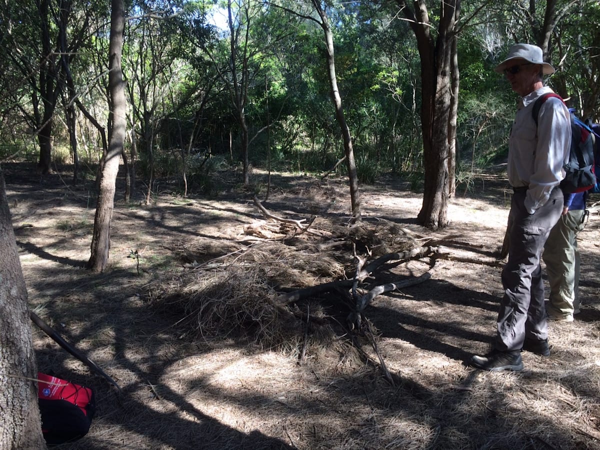 Bushcare work undone