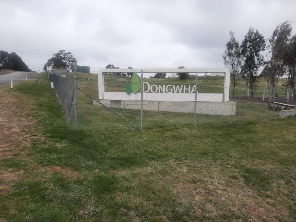 Timber action plan welcomed