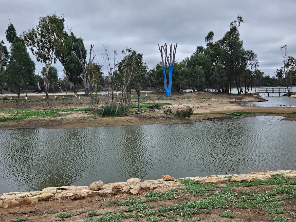 The Blue tree revival project gets green light