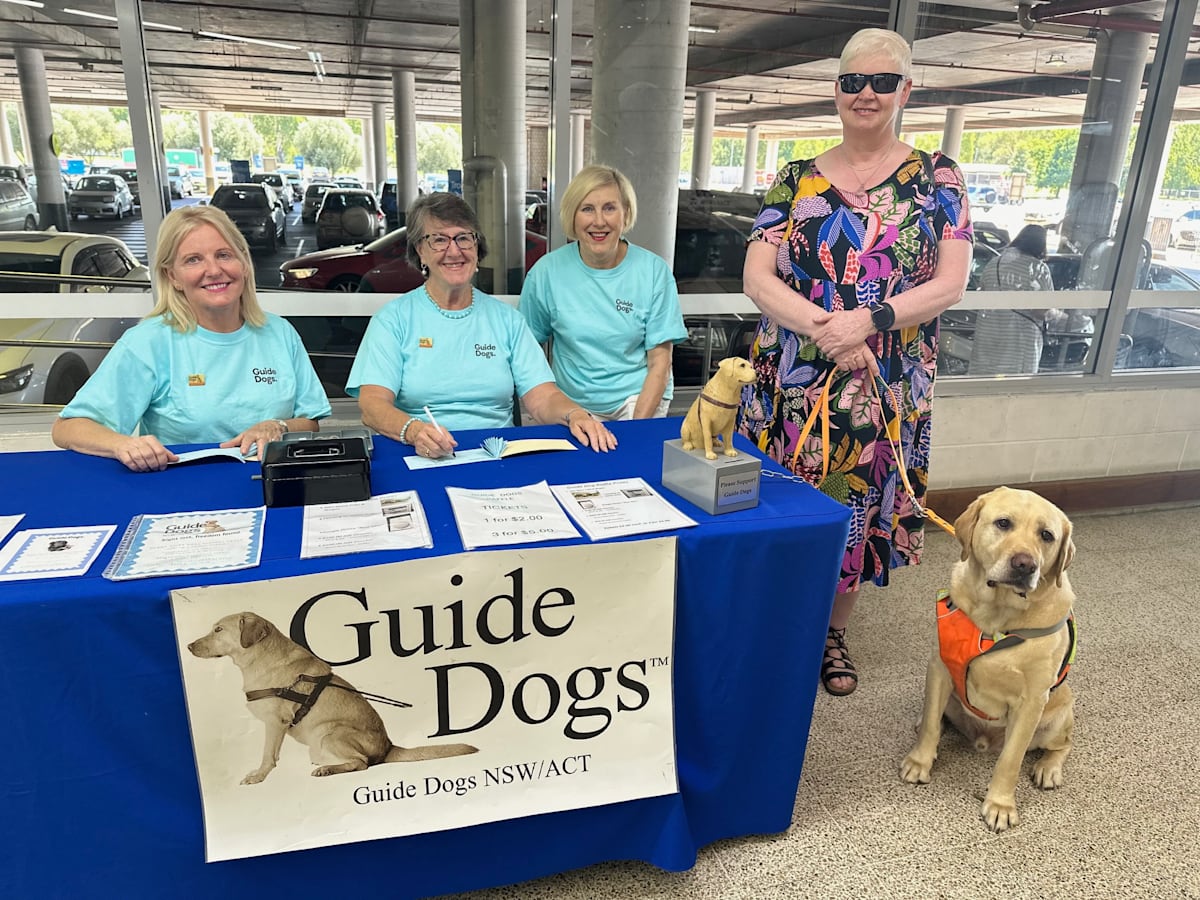 Twilight event for Guide Dogs