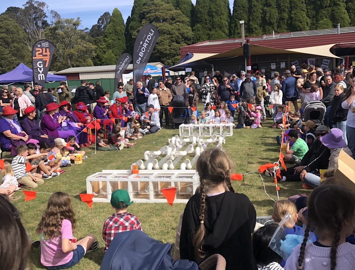 A ferret racing passion for 'Whitey'