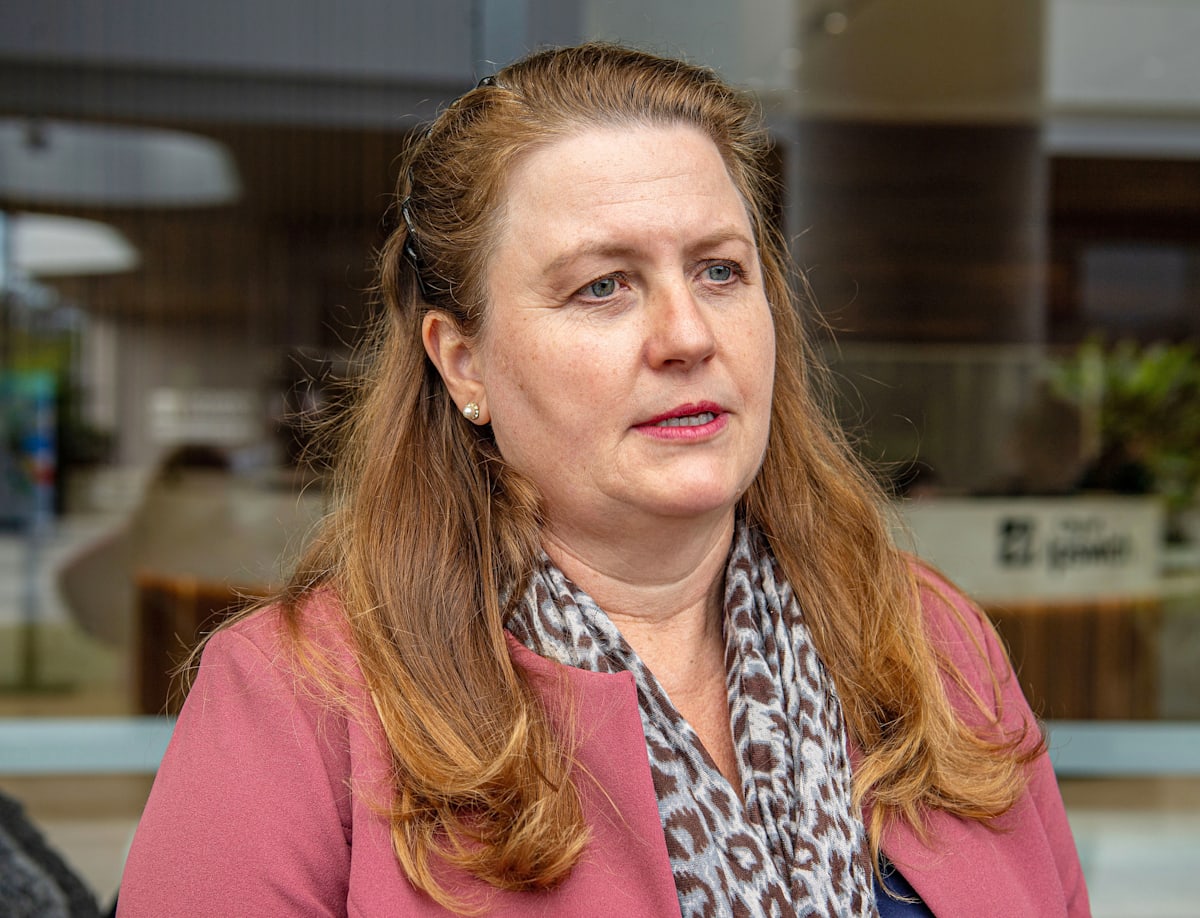 Harding attacks media as ‘fake news’