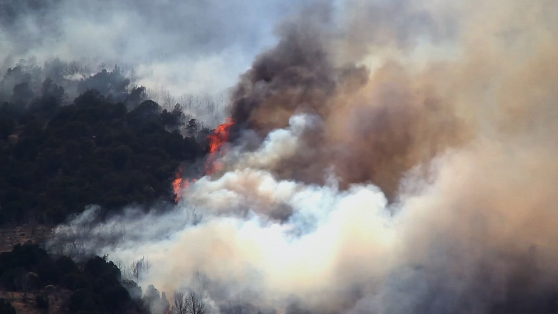 Impact of the Australian fires – A Different Lens – Monash University