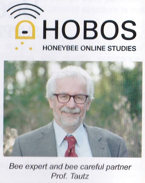 Humming Forager Bees - A Neglected Subject in Honey Bee Communication