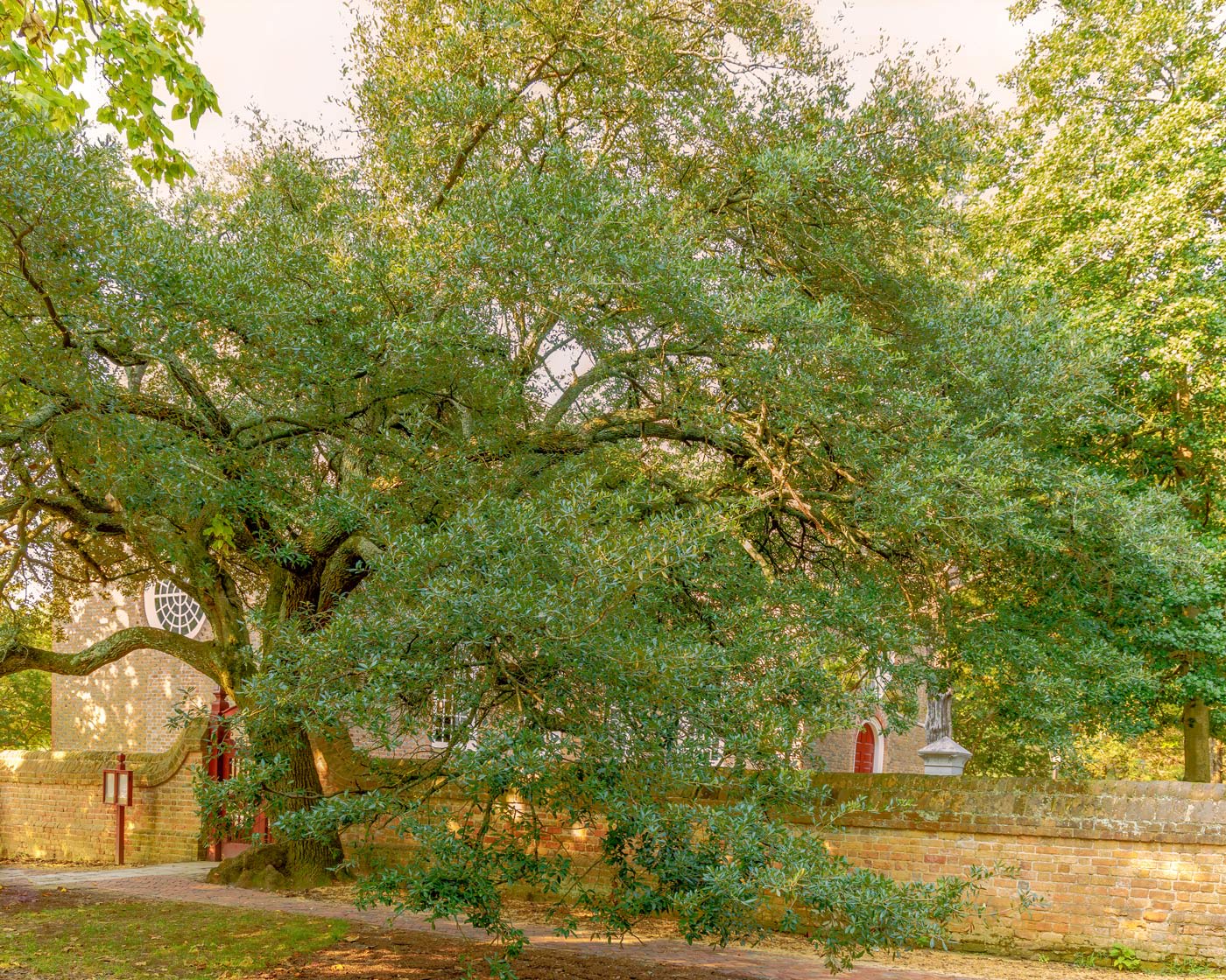 Discover The Historic Charm And Beauty Of Devizes - Vision Mirror