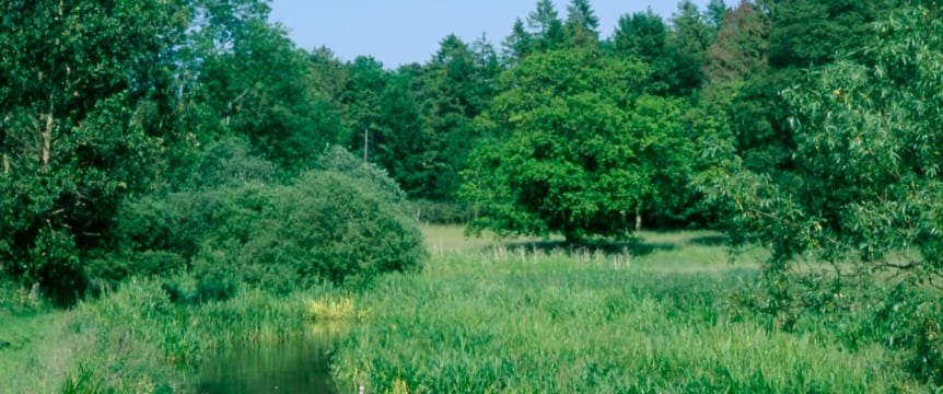 Share Your Views On Breckland Local Plan - Commonplace