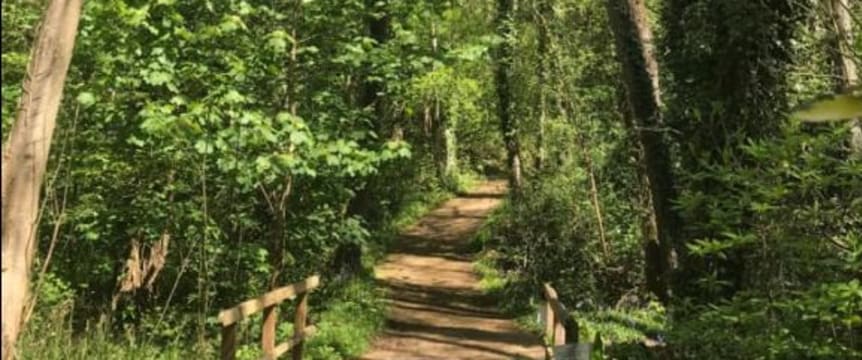 Community Forum - Natural Environment Southampton - Commonplace