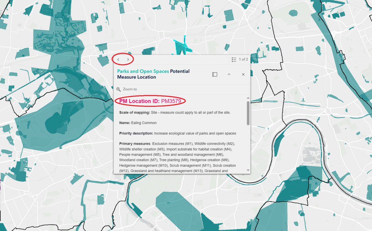 London LNRS | Commonplace