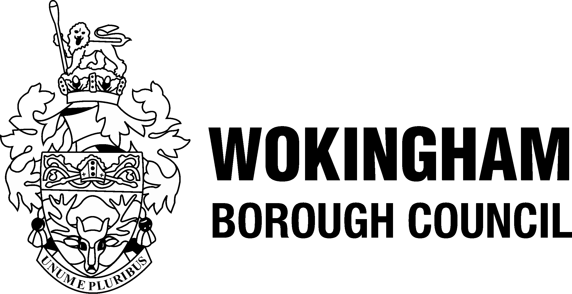 Wokingham LCWIP | Commonplace