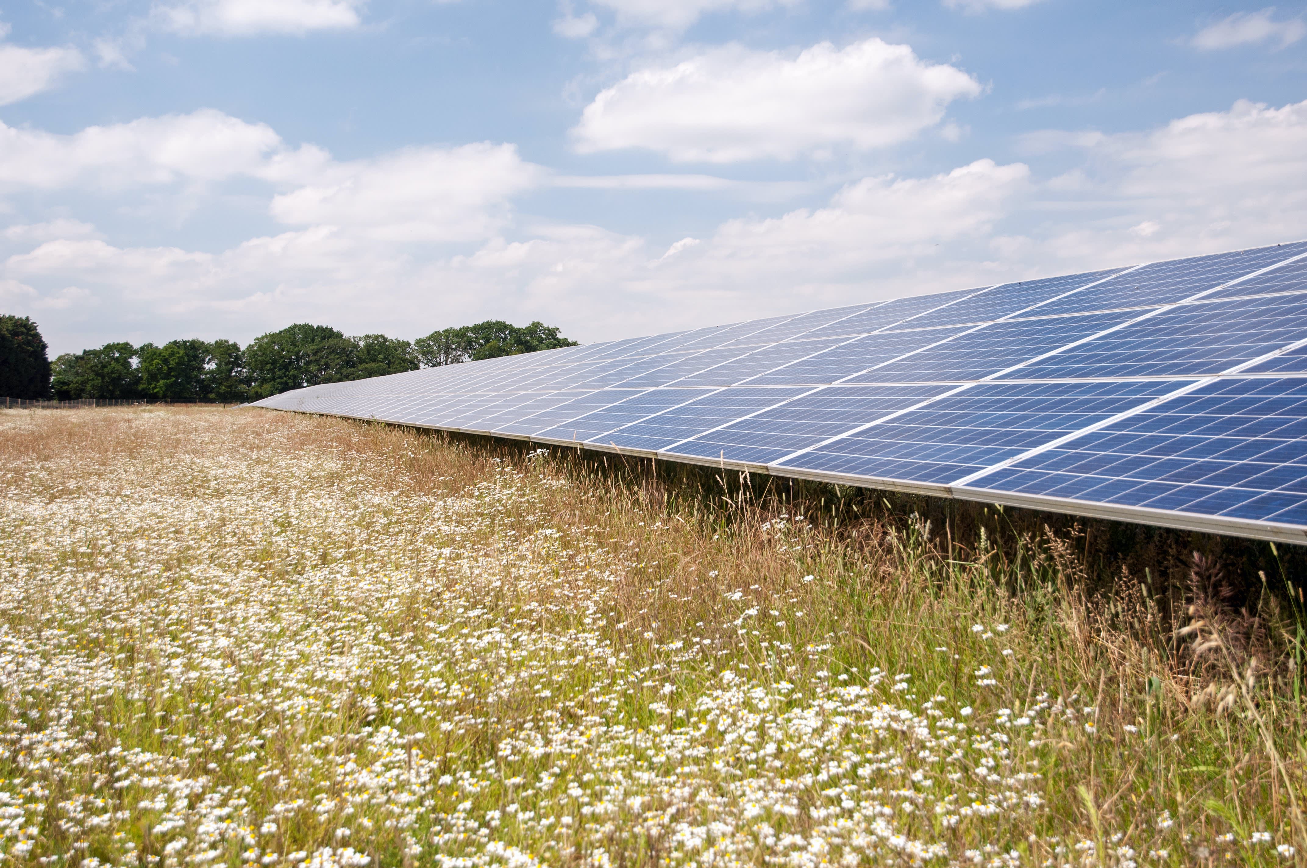 Community Forum - Fox Covert Solar Farm - Commonplace