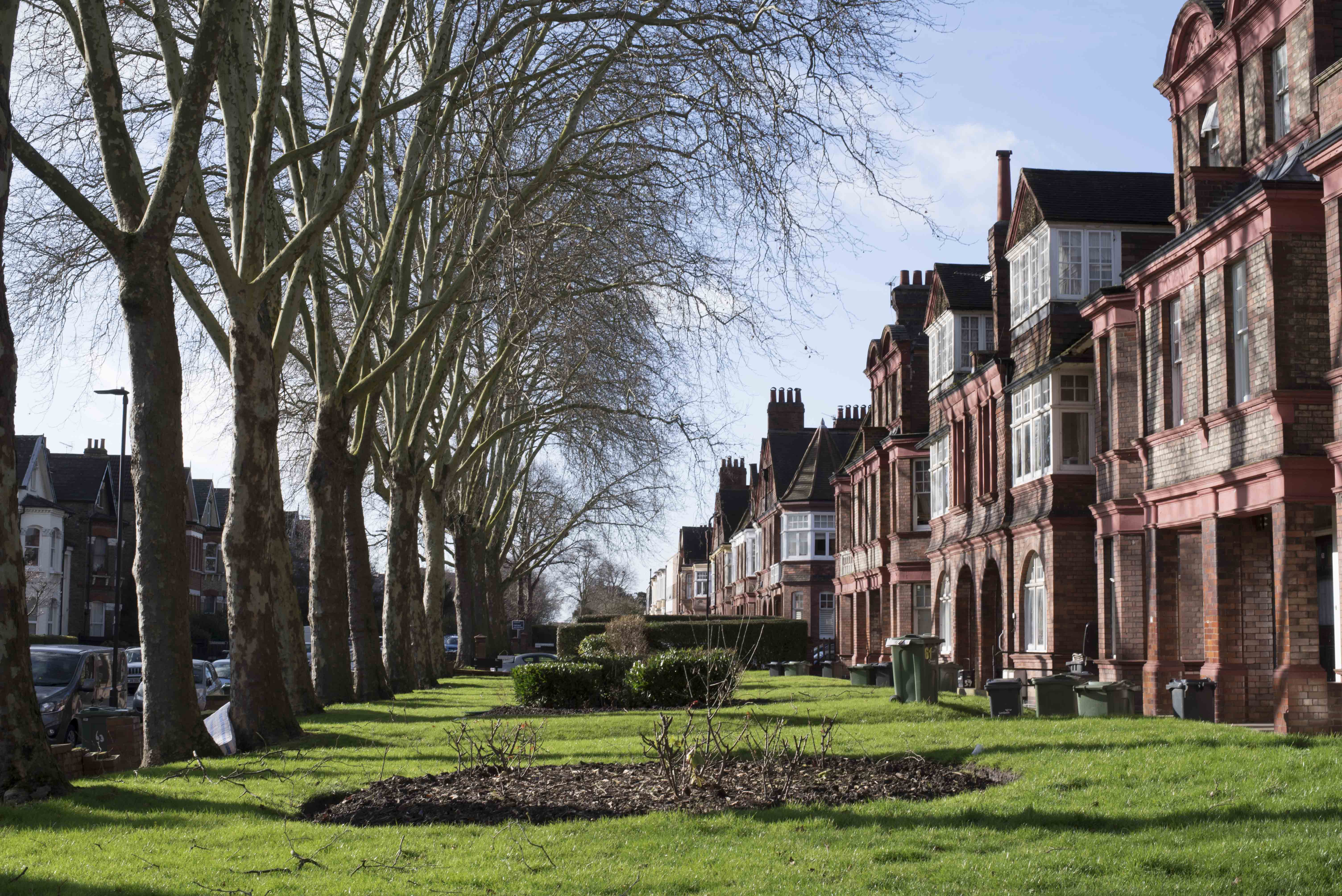 Track the Project Timeline - Streatham Hill LTN Map