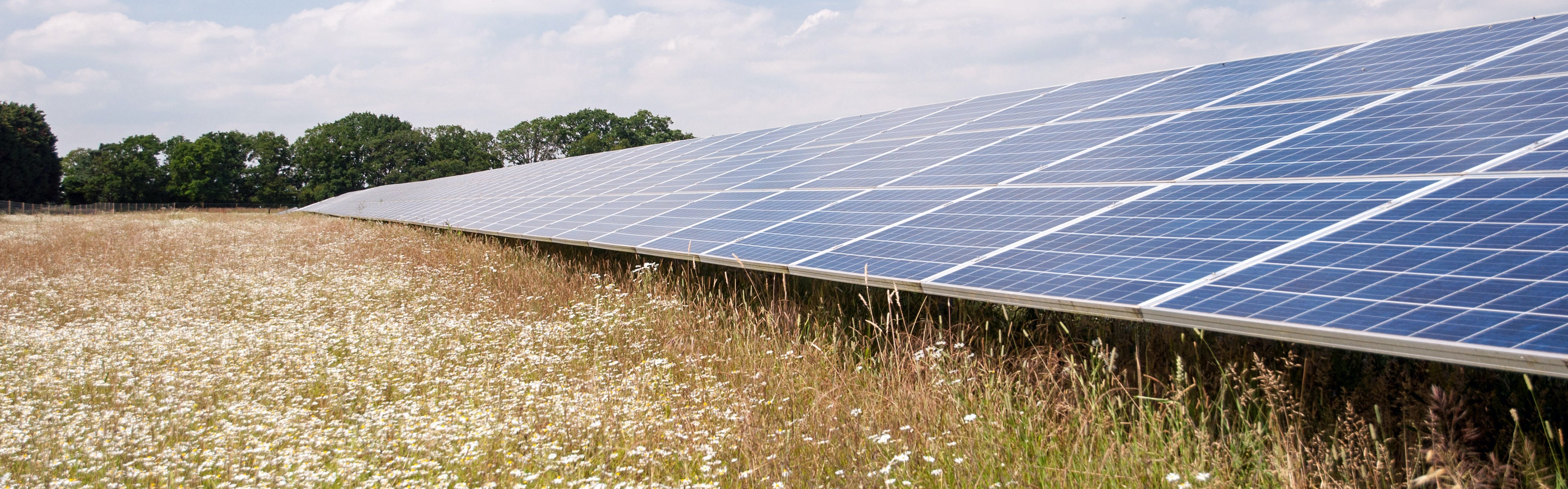 Explore What People Said - Long Meadow Solar Farm - Commonplace