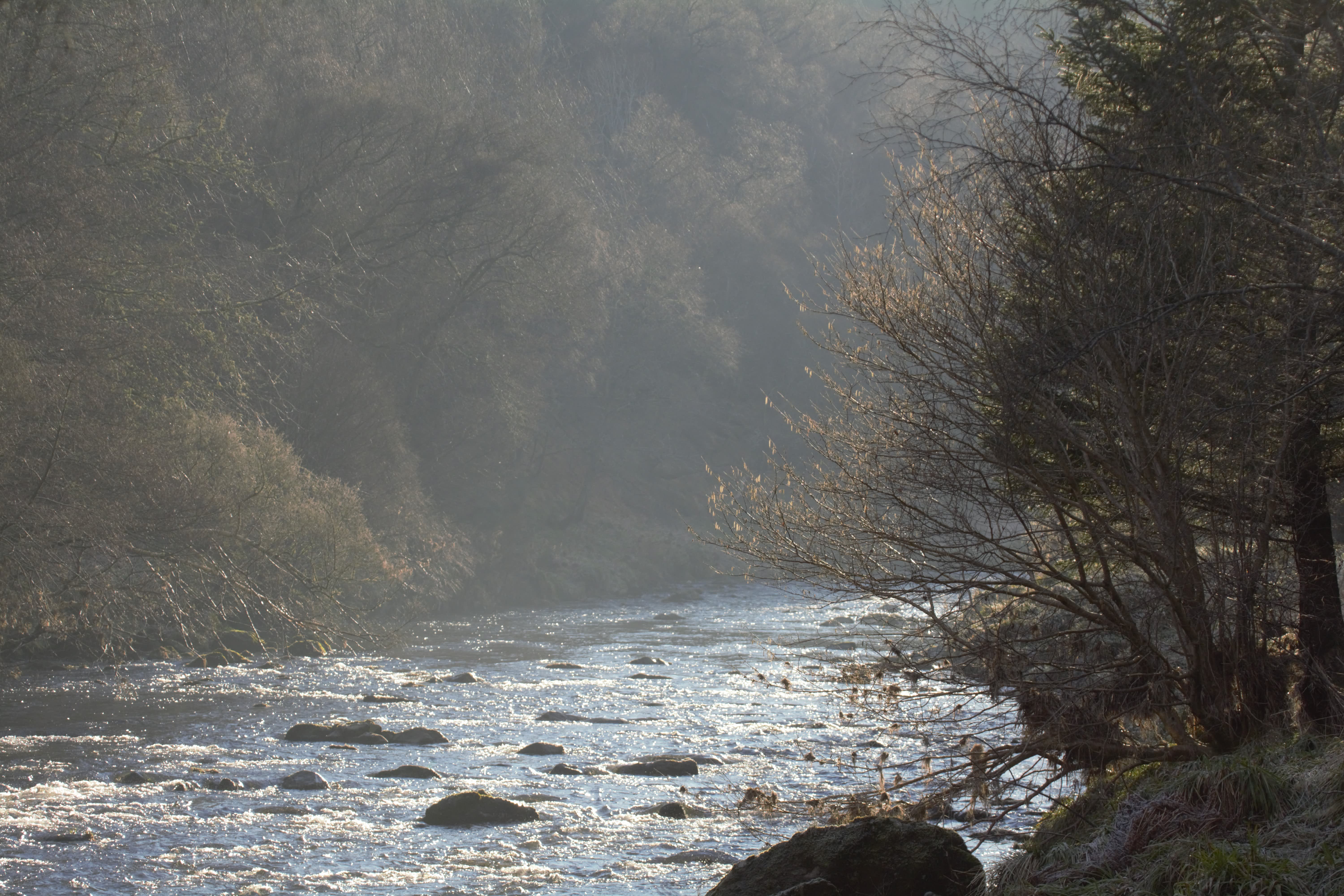 Community Forum - Highlands Rewilding Beldorney Community - Commonplace