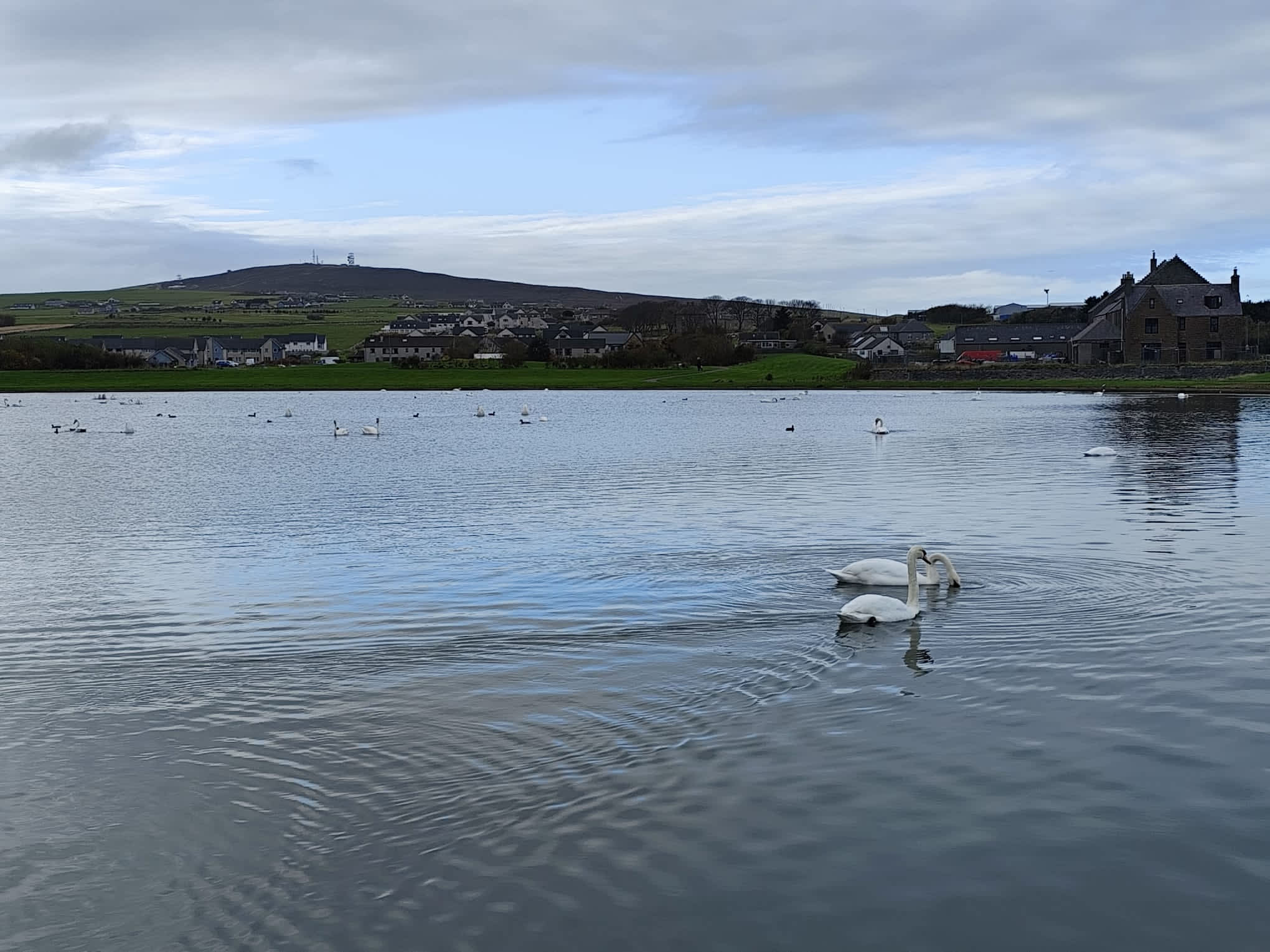 Have Your Say Today - The Peedie Sea Project - Commonplace