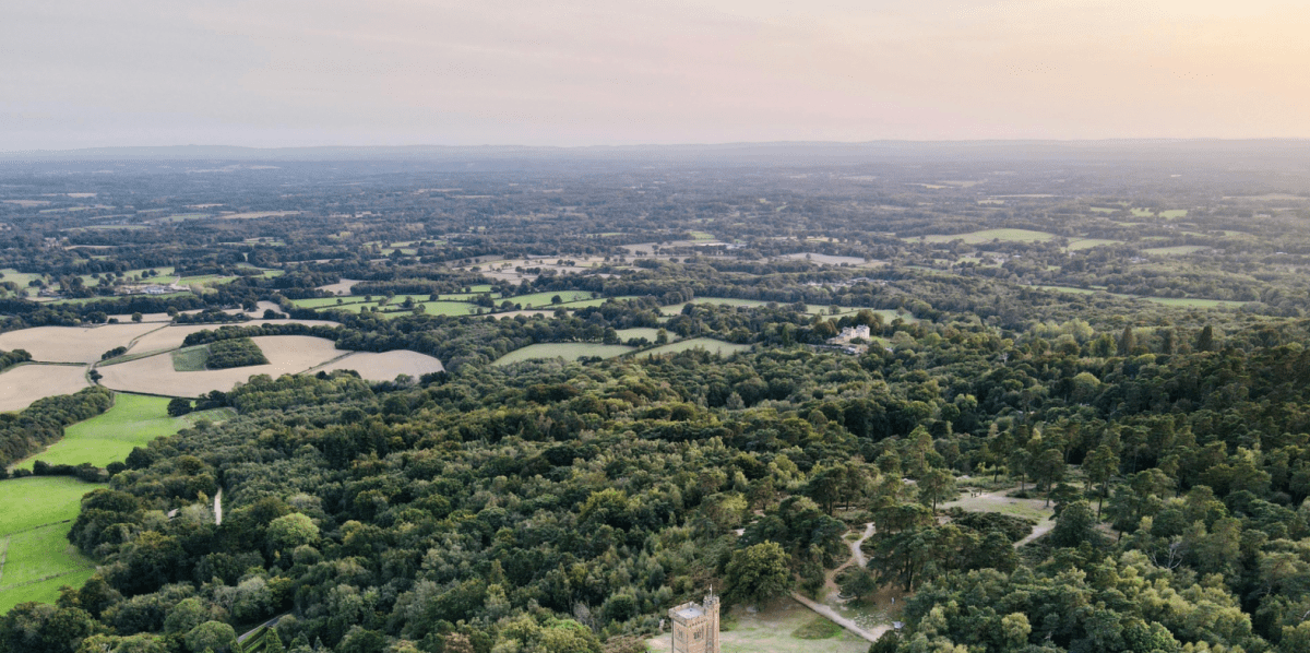 Climate Change Delivery Plan | Commonplace