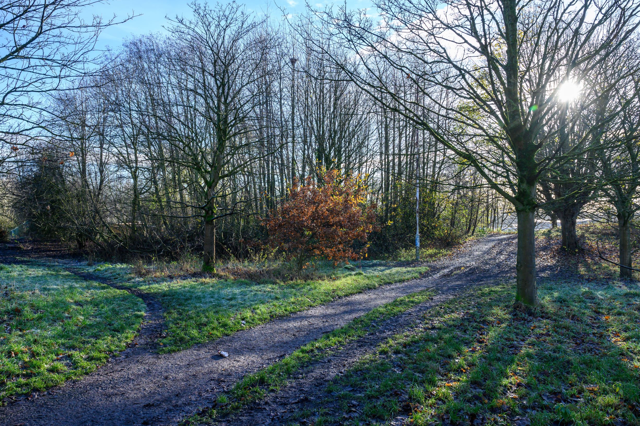 Look Back at - - Swinton Greenway