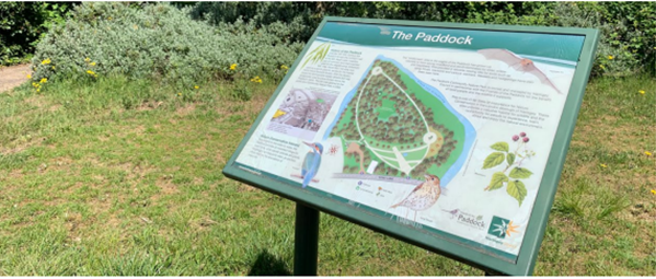 Have Your Say Today - - The Paddock