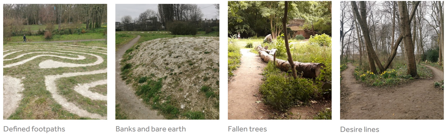 Have Your Say Today - - The Paddock