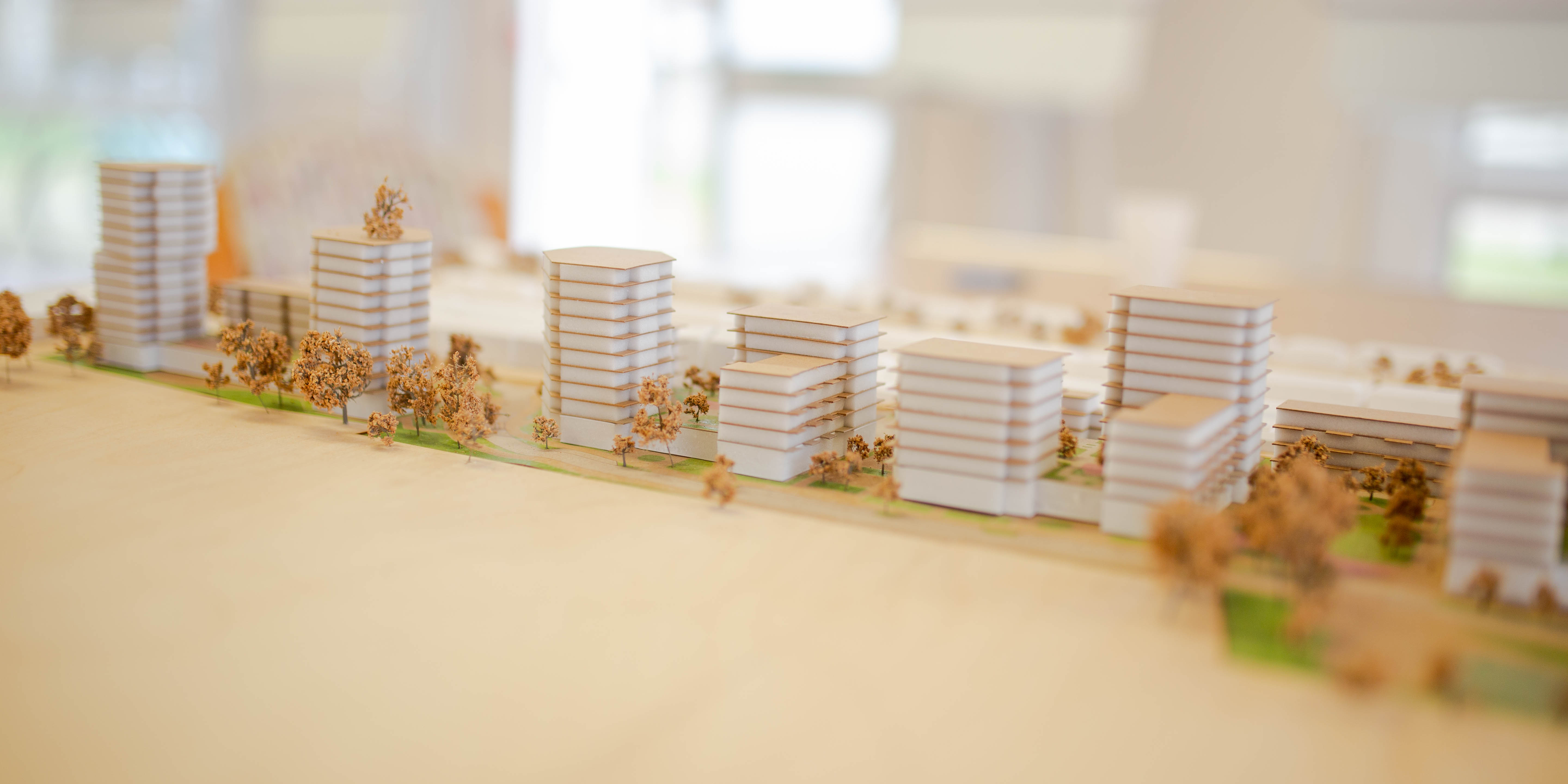 Look Back at - - Convent Way