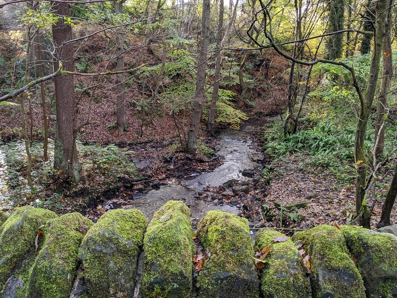 Leeds City Council Flood Resilience | Commonplace