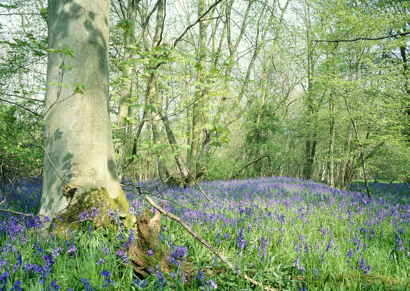 Keep in Touch with Latest News - Breckland Local Plan - Commonplace