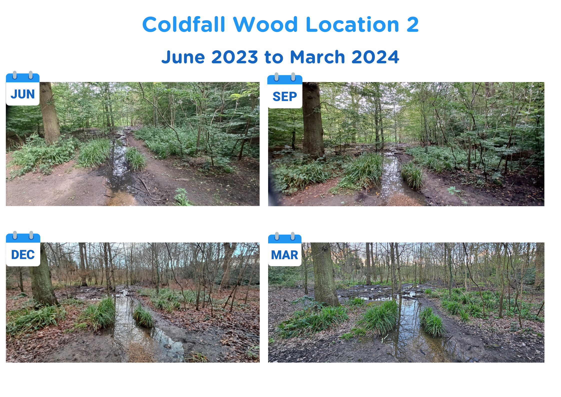 Keep in Touch with Latest News - Haringey’s Ancient Woodlands - Commonplace