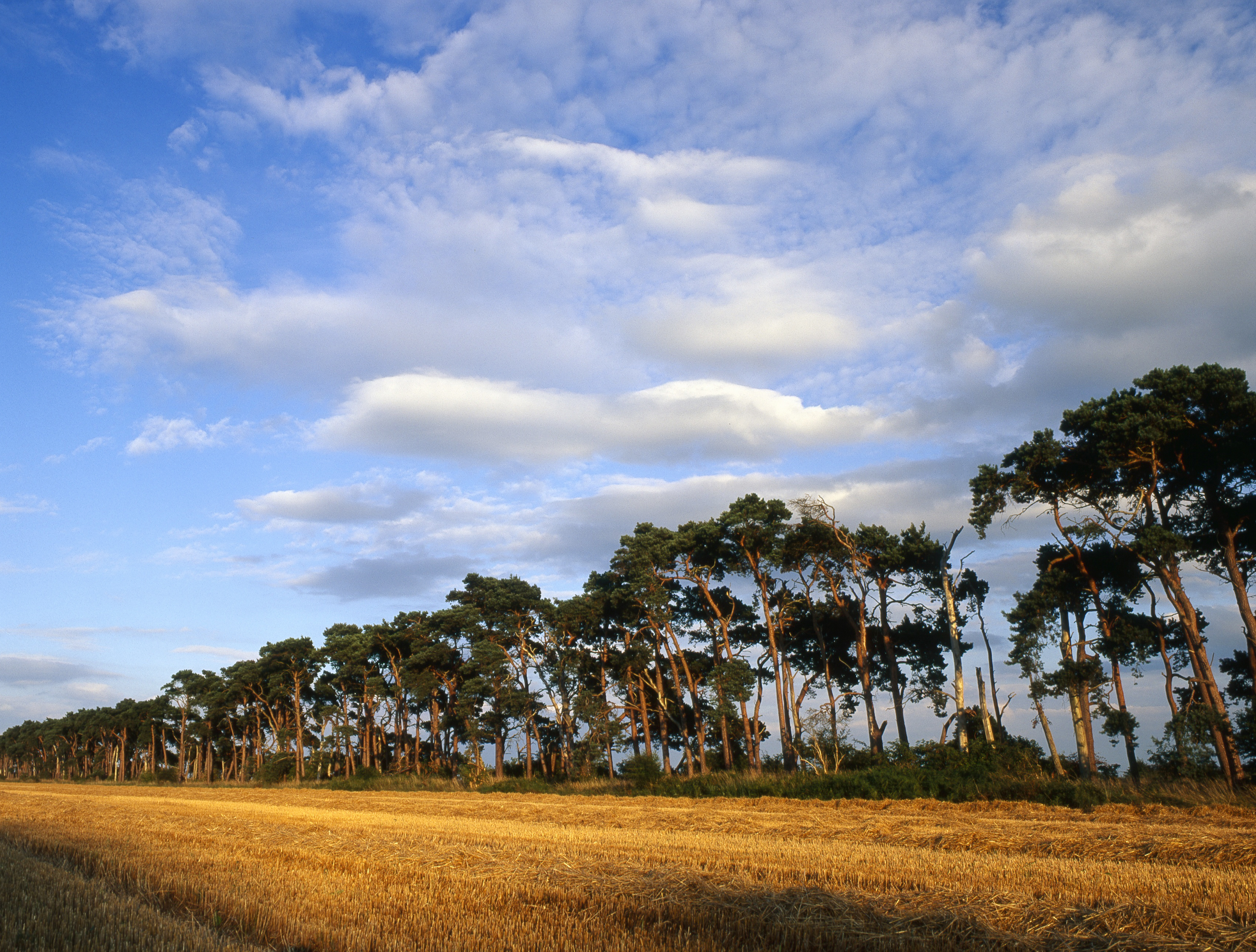 Keep in Touch with Latest News - Breckland Local Plan - Commonplace