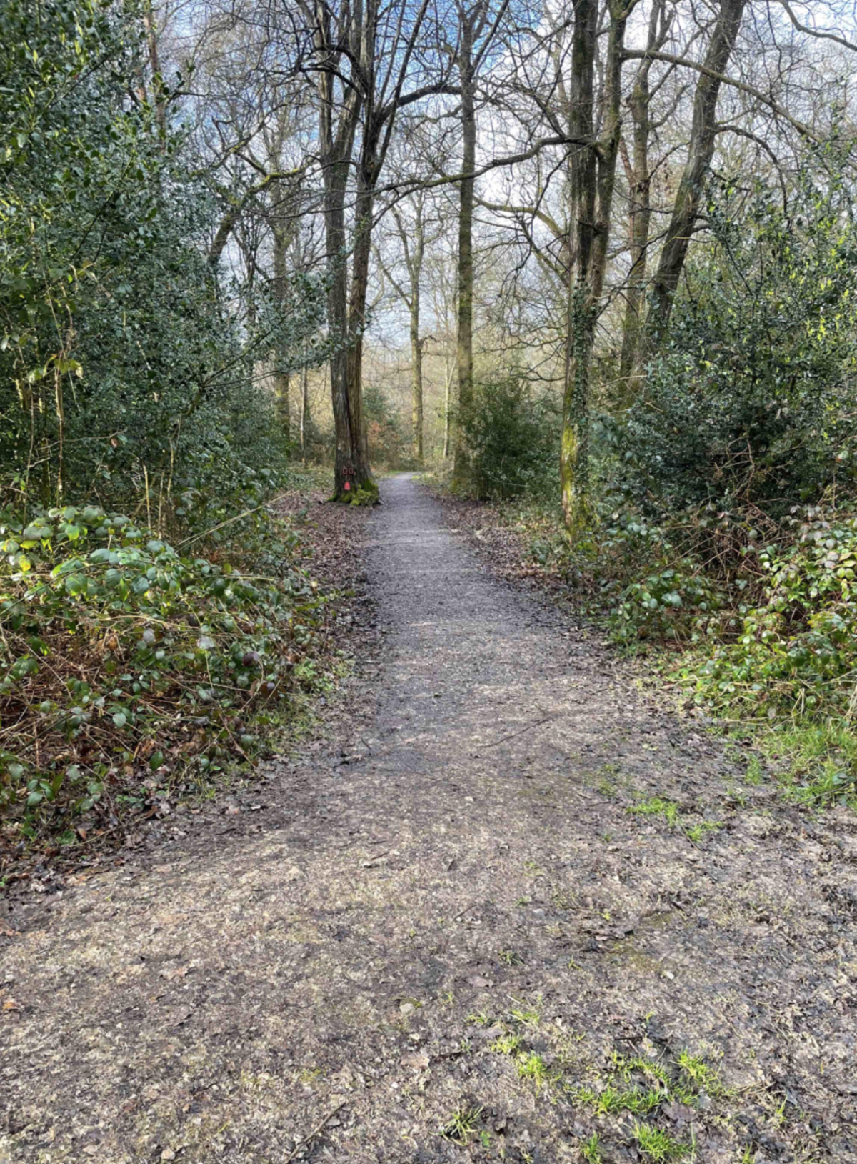 Have Your Say Today - - Your Fund Surrey Project Proposals