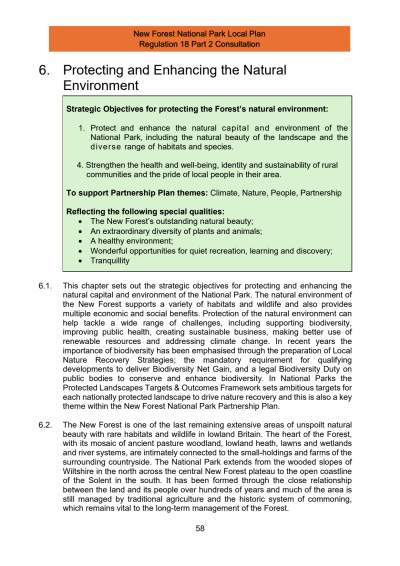 New Forest National Park Authority Local Plan | Commonplace