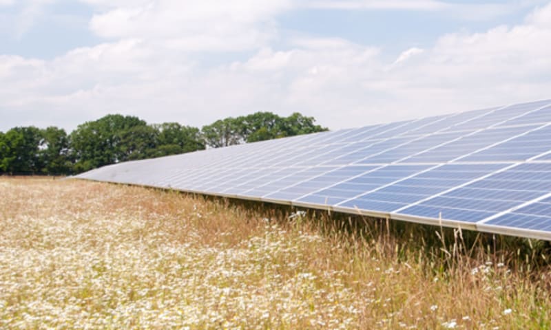 Maldon Wycke Solar Farm | Commonplace