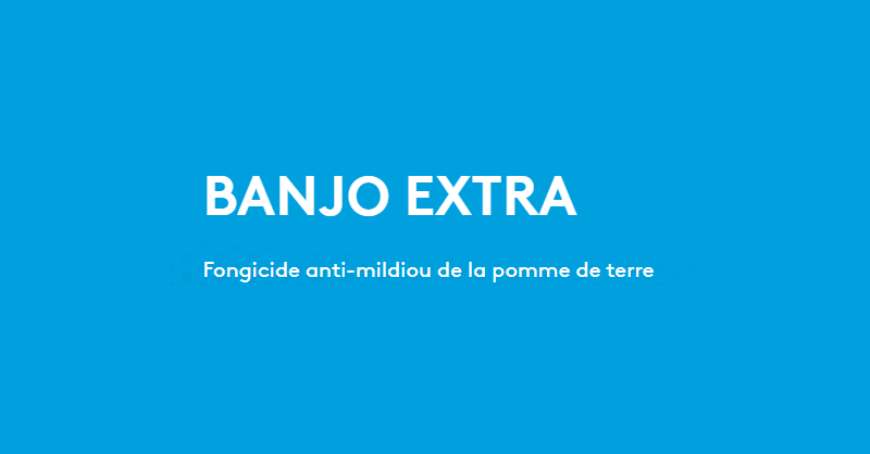 Banjo Extra | Cereapro