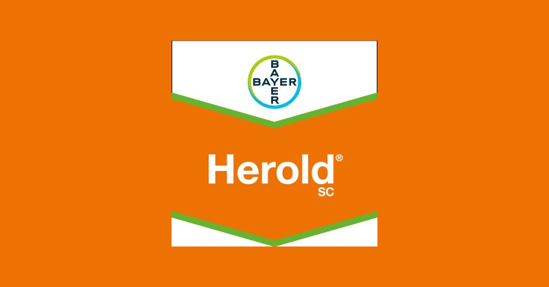 Herold Sc | Cereapro