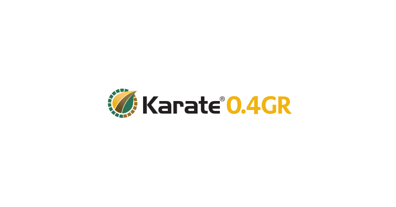 Karate 0.4 Gr | Cereapro