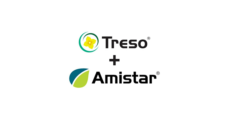 Pack Treso 3 Kg + Amistar 3,33 L | Cereapro