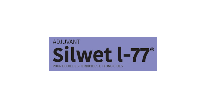 Silwet L 77 | Cereapro