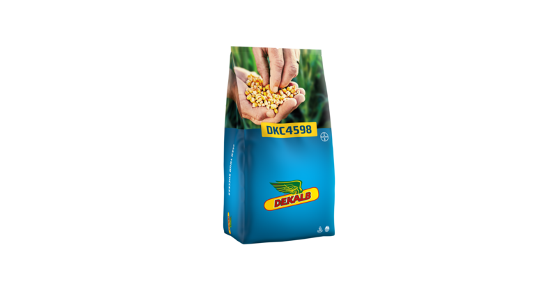 Dkc 4598 - G3 | Cereapro