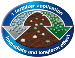 COMPO Universal Longterm fertilizer