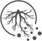 COMPO SANA® Substrato Universal