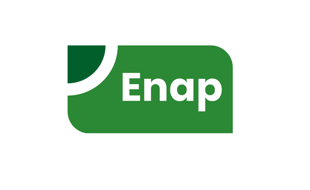 Cursos totalmente gratuitos pelo Enap
