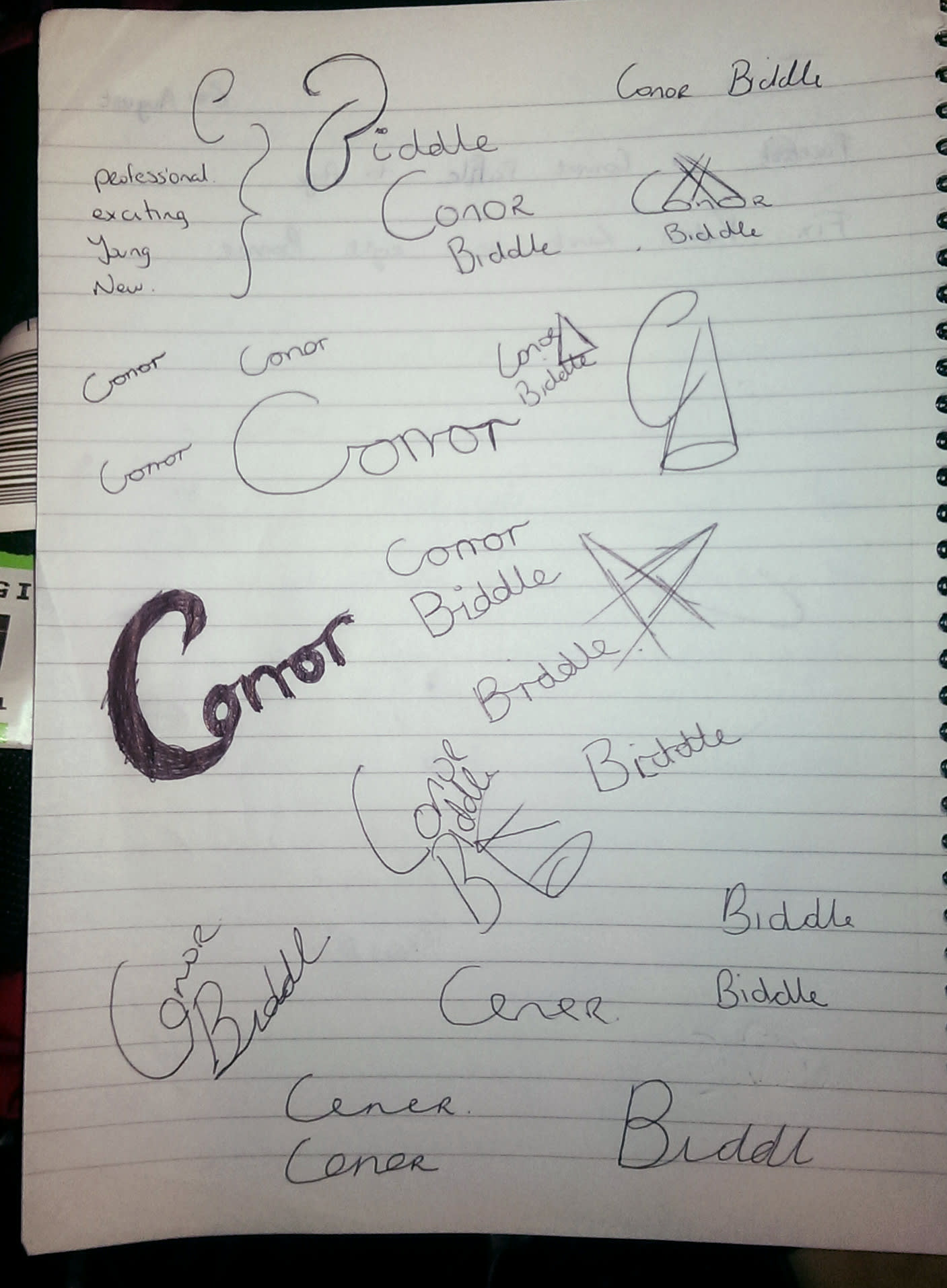 Conor Biddle Lighting Branding & Web Design - Sean Smyth