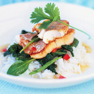 Gös - de godaste recepten - Coop