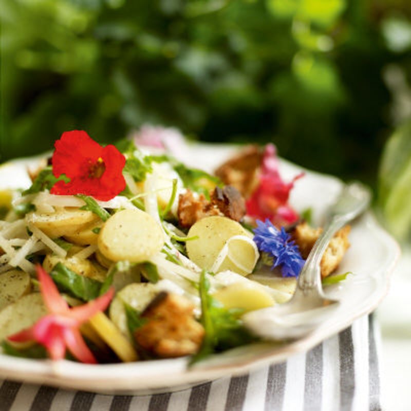 Rödvinskokt biffrad med blommig potatissallad | Recept | Coop