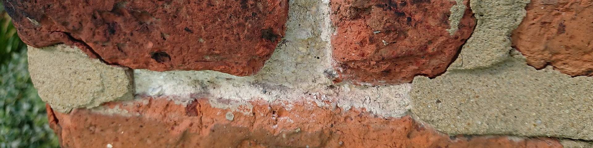 Lime Cement Plaster Recipe | Besto Blog