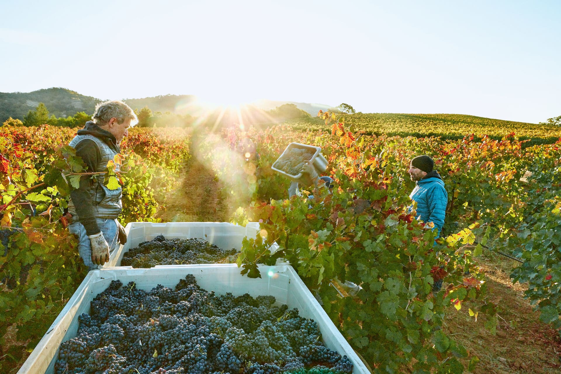 Our Guides – Cork+Compass Travel, a Wine Enthusiast Company