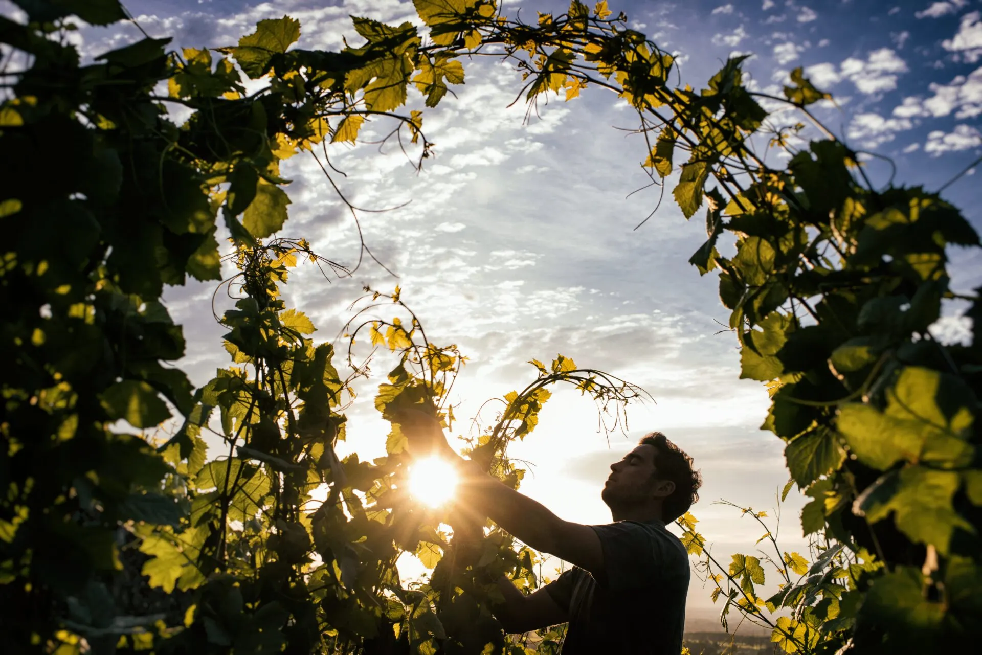 Get In Touch – Cork+Compass Travel, a Wine Enthusiast Company