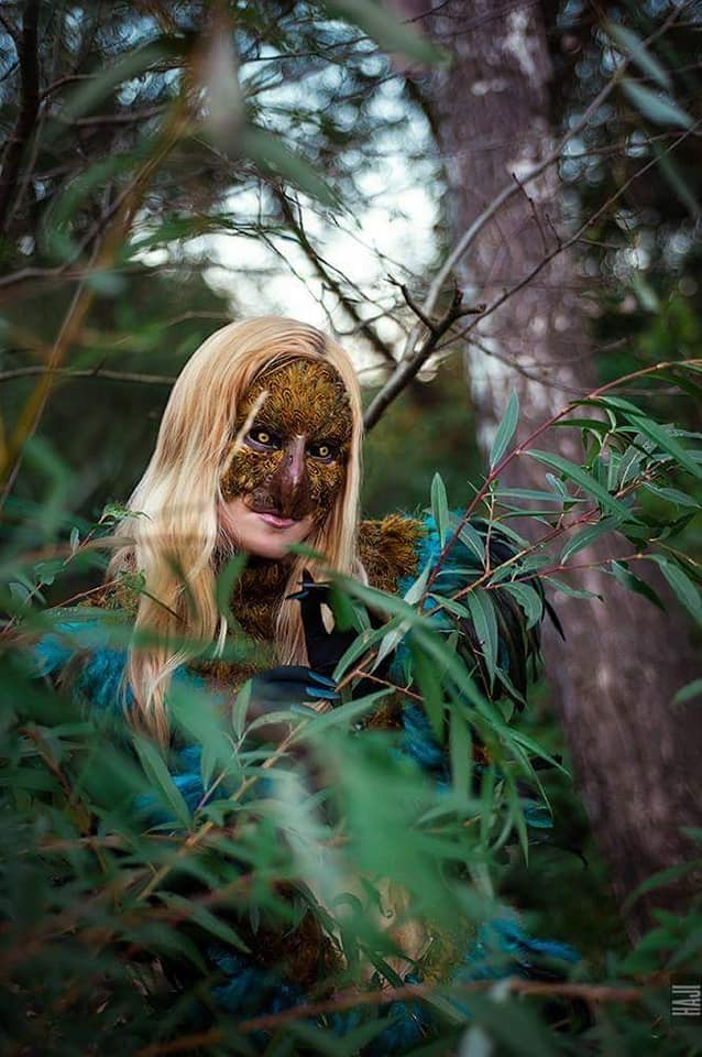 Vivienne de Tabris from Witcher 3 Costume - Coscove