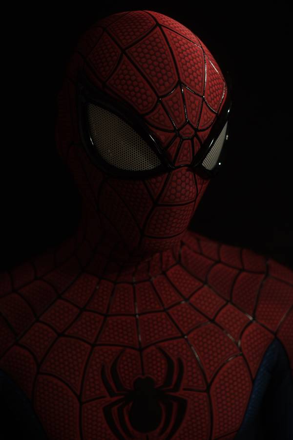 Spider-Man from Marvel Comics Costume - Coscove
