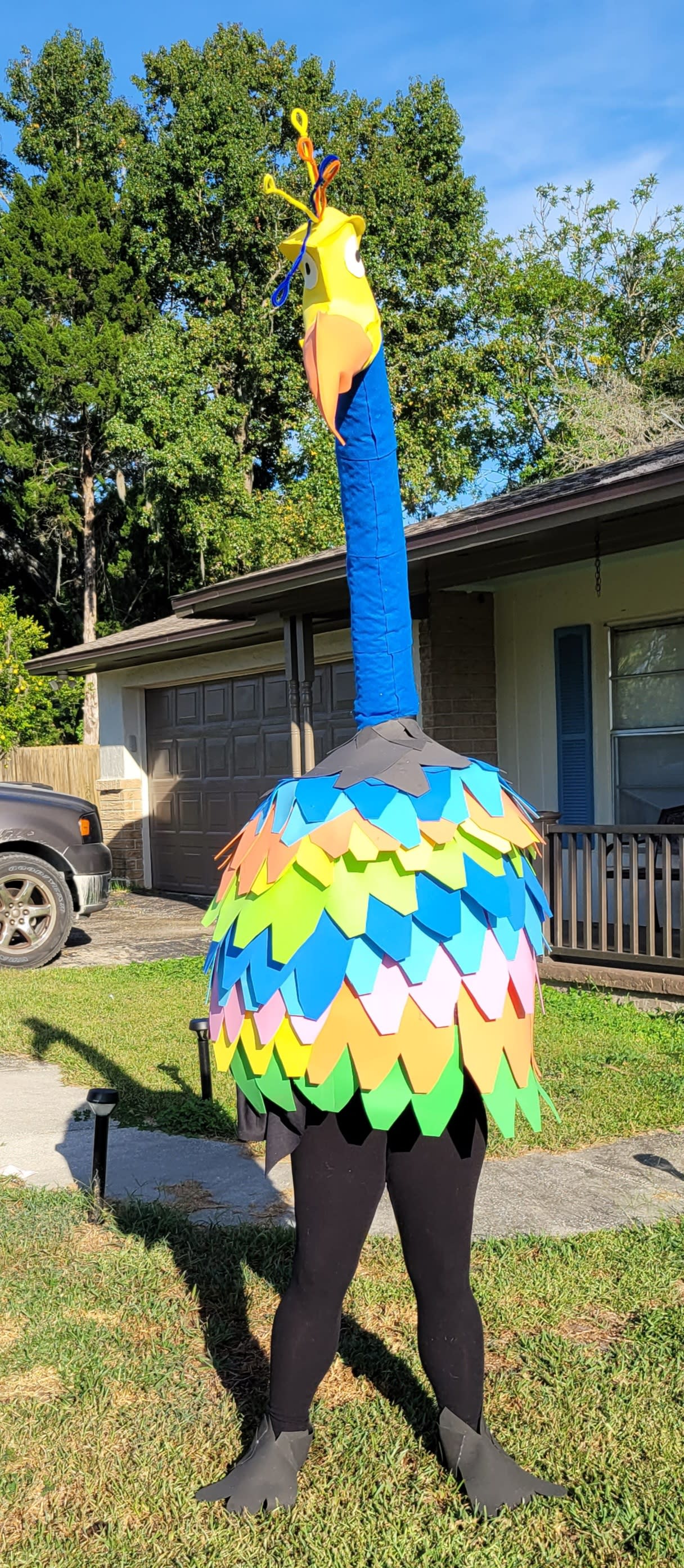 Kevin the bird from UP from Disney Pixar Costume - Coscove